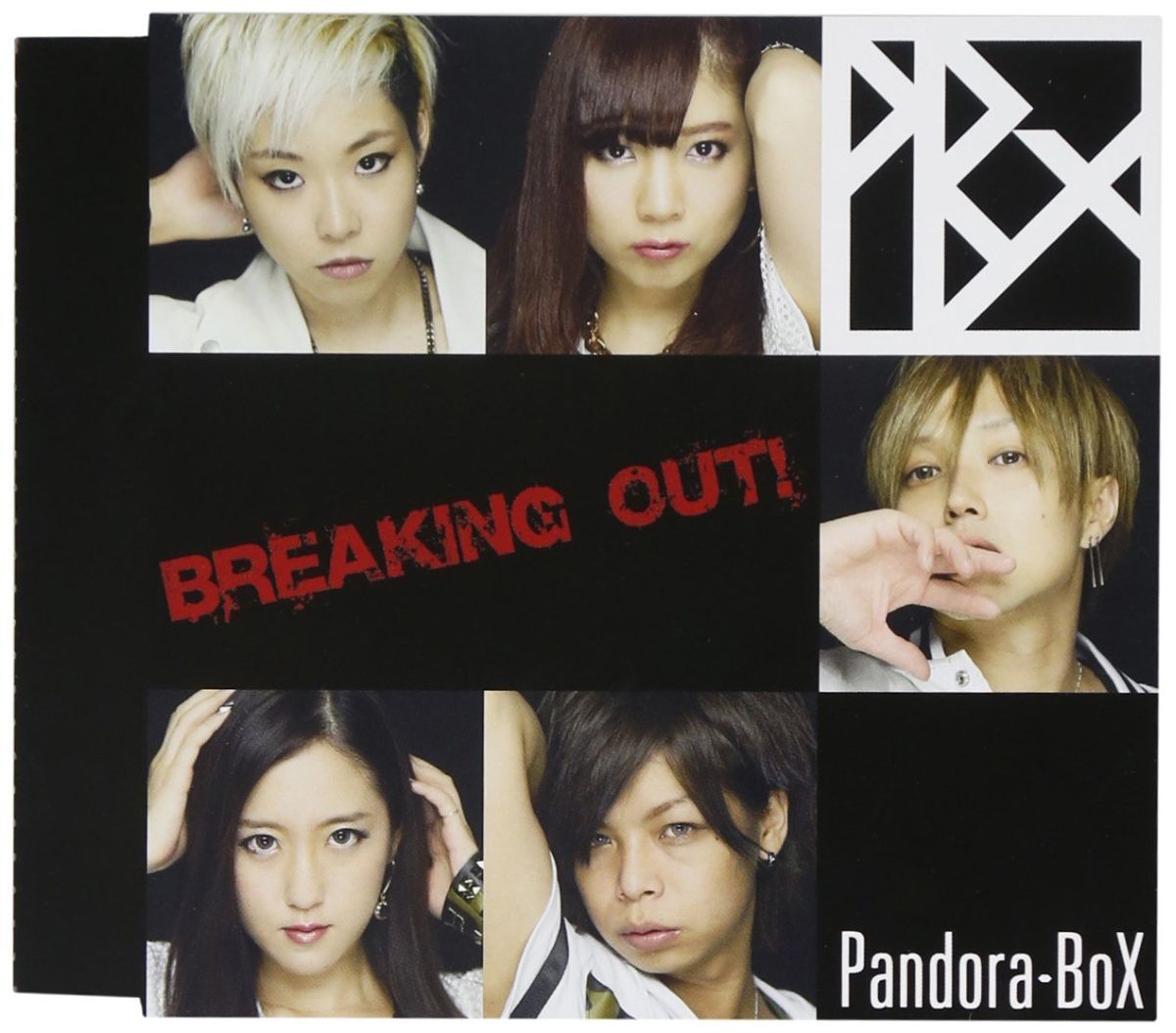 PandoraーBoXブレイキング アウト 発売日：2015年10月21日 予約締切日：2015年10月17日 BREAKING OUT! JAN：4560211061048 SNFー181 South to North Factory ダ...