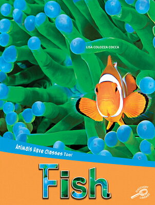 ANIMALS HAVE CLASSES TOO FISH Animals Have Classes Too! Christa Hogan ROURKE EDUC MEDIA2019 Paperback English ISBN：97816...