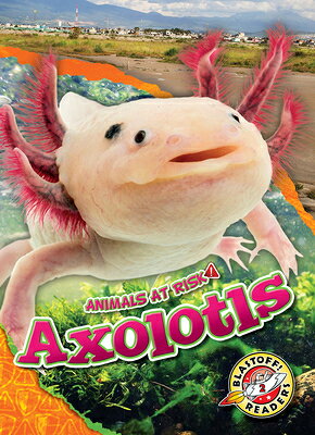 ANIMALS AT RISK AXOLOTLS Animals at Risk Dana Fleming Rachel Grack BLASTOFF DISCOVERY2023 Library　Binding English ISBN：9...