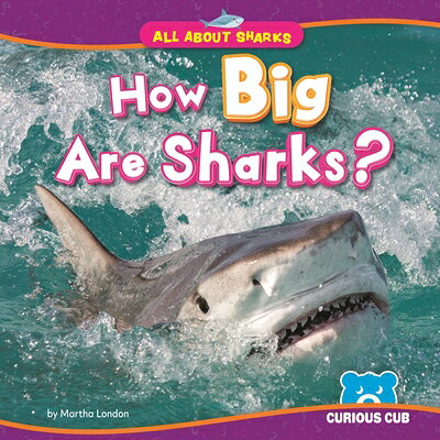 HOW BIG ARE SHARKS All about Sharks Martha London N/A CURIOUS CUB BOOKS2026 Paperback English ISBN：9798902011194 洋書 Book...