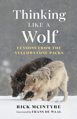 THINKING LIKE A WOLF The Alpha Wolves of Yellowstone Rick McIntyre Frans de Waal GREYSTONE BOOKS2024 Hardcover English I...