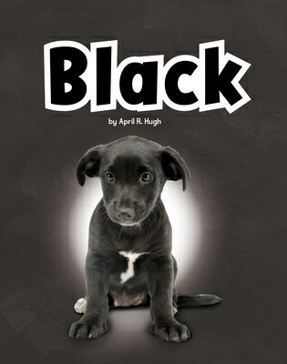 BLACK Colors in Your World April R. Hugh PEBBLE BOOKS2026 Paperback English ISBN：9798875271267 洋書 Books for kids（児童書） Ju...