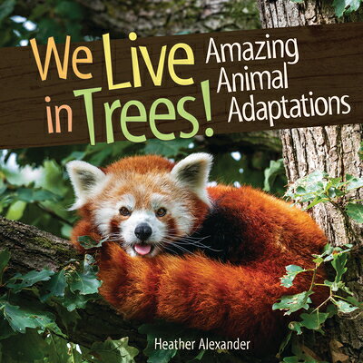 WE LIVE IN TREES Heather Alexander MILLBROOK PR2026 Library　Binding English ISBN：9798765691304 洋書 Books for kids（児童書） Ju...