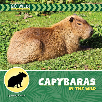 CAPYBARAS IN THE WILD 21st Century Beginning Library: Go Wild! Rainforest Explorer Meeg Pincus CHERRY LAKE PUB2026 Paper...
