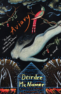 AVIARY Deirdre McNamer MILKWEED ED2022 Paperback English ISBN：9781571311429 洋書 Fiction & Literature（小説＆文芸） Fiction