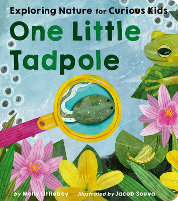 1 LITTLE TADPOLEーLIFT FLAP One Little Molly Littleboy Jacob Souva TIGER TALES2025 Board　Books English ISBN：9781664351431...