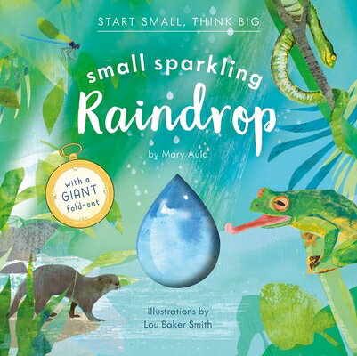 SMALL SPARKLING RAINDROP (STAR Start Small, Think Big Mary Auld Lou Baker Smith RED COMET PR2025 Hardcover English ISBN：...