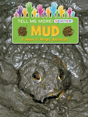MUD Tell Me More! Science Ruth Owen RUBY TUESDAY BOOKS2021 Library　Binding English ISBN：9781788561440 洋書 Books for kids（...