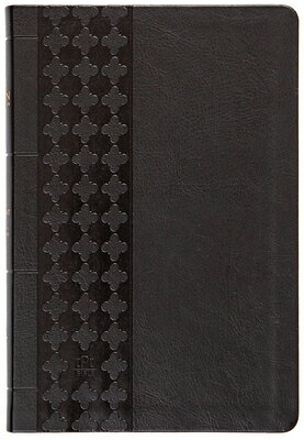 PASSION TRANSLATION NT (2020 E Passion Translation Brian Simmons BROADSTREET PUB2020 Imitation　Leather English ISBN：9781...