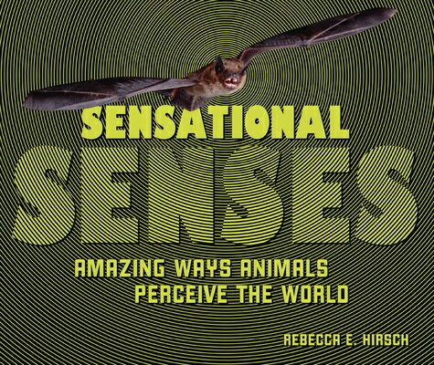 SENSATIONAL SENSES Rebecca E. Hirsch MILLBROOK PR2026 Paperback English ISBN：9798348051471 洋書 Social Science（社会科学） Socia...
