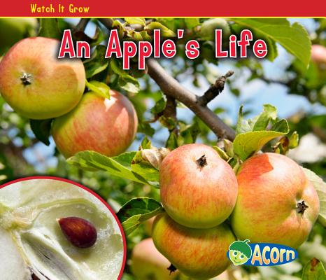APPLES LIFE Watch It Grow Nancy Dickmann HEINEMANN LIB2010 Paperback English ISBN：9781432941505 洋書 Books for kids（児童書） J...