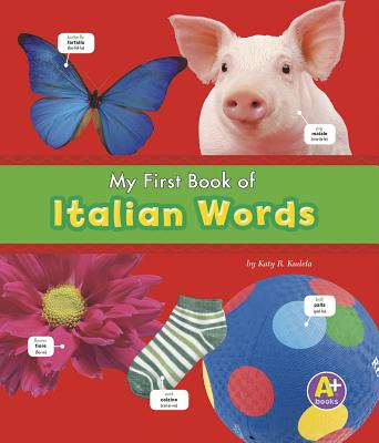 MULーMY FBO ITALIAN WORDS Bilingual Picture Dictionaries Translations Com Katy R. Kudela A+ BOOKS2010 Paperback Multiple　...