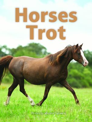 HORSES TROT Infocodables Diamond Set 1 Michele DuFresne PIONEER VALLEY BOOKS2025 Paperback English ISBN：9798888291627 洋書...