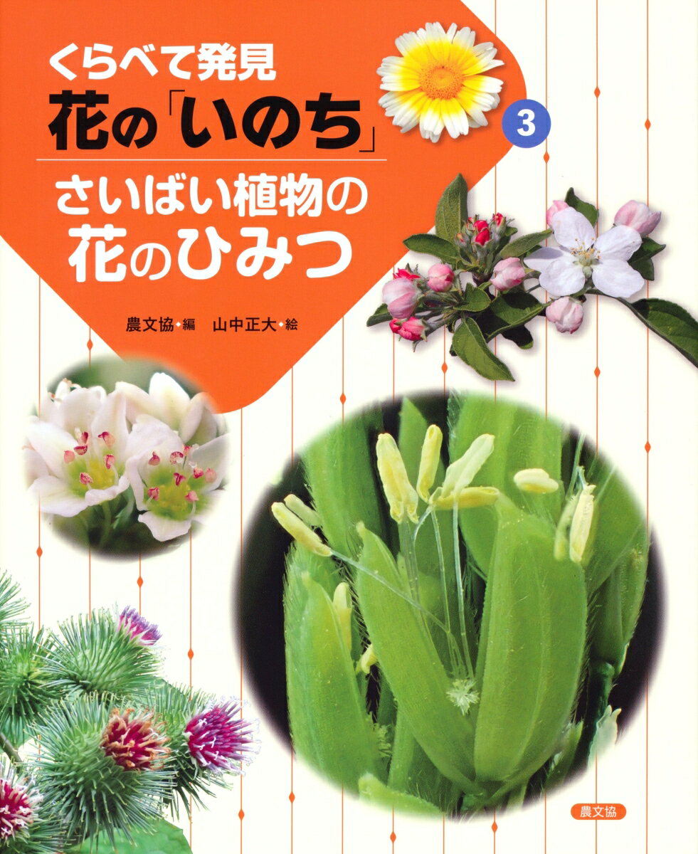 くらべて発見　花の「いのち」 農文協 山中　正大 農山漁村文化協会サイバイショクブツノハナノヒミツ ノウブンキョウ ヤマナカ　マサヒロ 発行年月：2025年04月21日 予約締切日：2025年04月20日 ページ数：32p サイズ：絵本 I...