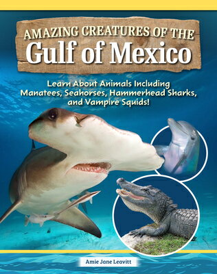 AMAZING CREATURES OF THE GULF Amie Jane Leavitt CURIOUS FOX BOOKS2025 Paperback English ISBN：9798890941688 洋書 Books for ...