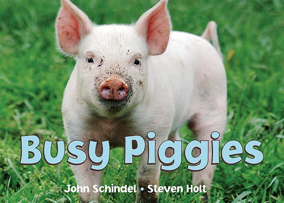BUSY PIGGIESーBOARD Busy Book John Schindel Steven Holt TRICYCLE PR2006 Board　Books English ISBN：9781582461694 洋書 Books f...