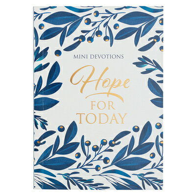 MINI DEVOTIONS HOPE FOR TODAY Mini Devotions Jimi Le Roux CHRISTIAN ART GIFTS2023 Paperback English ISBN：9781776371730 洋...