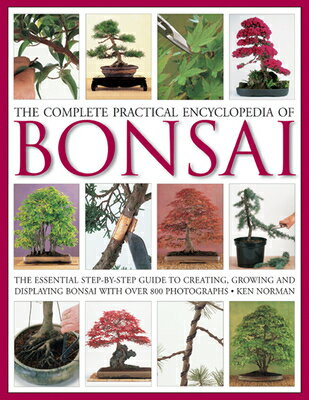 COMP PRAC ENCY OF BONSAI Ken Norman LORENZ BOOKS2009 Hardcover English ISBN：9780754821809 洋書 Family life & Comics（生活＆コミッ...