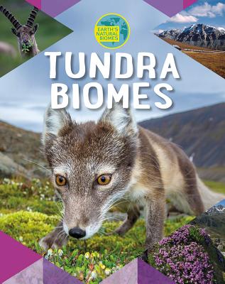 TUNDRA BIOMES Louise A. Spilsbury Richard Spilsbury CRABTREE PUB2018 Paperback English ISBN：9780778741824 洋書 Books for k...