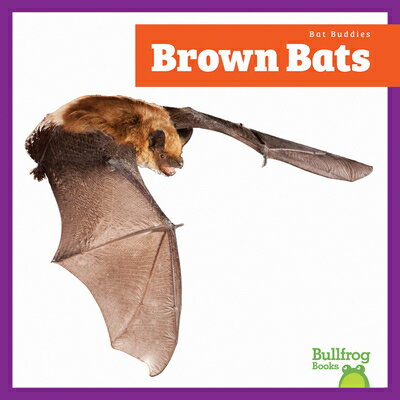 BROWN BATS Bat Buddies Jenna Lee Gleisner BULLFROG BOOKS2026 Library　Binding English ISBN：9798896621874 洋書 Books for kid...