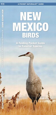 NEW MEXICO BIRDS Nature Observation North America James Kavanagh Waterford Press Raymond Leung WATERFORD PR2002 Paperbac...