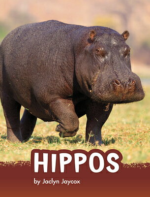 HIPPOS Animals Jaclyn Jaycox PEBBLE BOOKS2022 Hardcover English ISBN：9781663971883 洋書 Books for kids（児童書） Juvenile Nonfi...