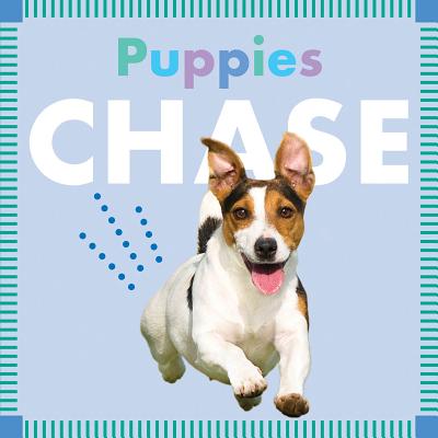 PUPPIES CHASE Amicus Ink Board Books Rebecca Glaser AMICUS INK2017 Board　Books English ISBN：9781681521961 洋書 Books for k...