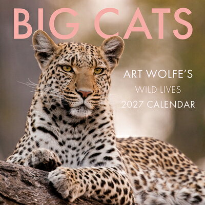 2027 BIG CATS WALL CAL Art Wolfe EARTH AWARE EDITIONS2026 Wall English ISBN：9798887621999 洋書 Computers & Science（コンピューター...