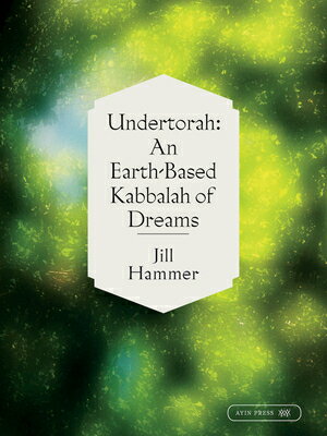 UNDERTORAH Jill Hammer AYIN PR LTD2022 Paperback English ISBN：9781532362002 洋書 Fiction & Literature（小説＆文芸） Biography & A...