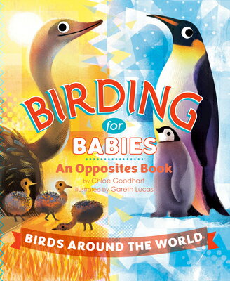 BIRDING FOR BABIES BIRDS AROUN Chloe Goodhart Gareth Lucas PENGUIN WORKSHOP2025 Board　Books English ISBN：9780593752005 洋...