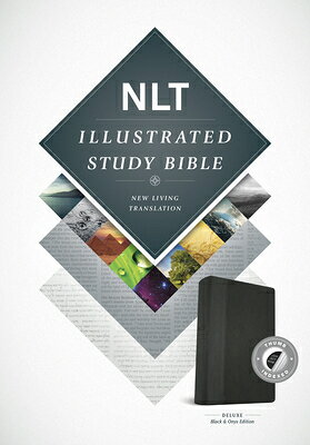 BーNLーTYN DUO NX New Living Translation Tyndale TYNDALE HOUSE PUBL2015 Imitation　Leather English ISBN：9781496402028 洋書 No...