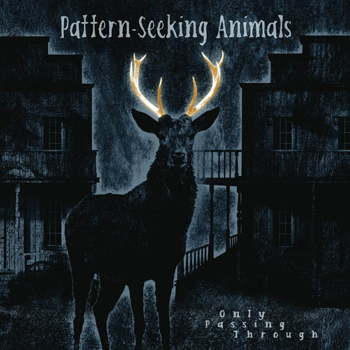 PATTERNーSEEKING ANIMALSパターン・シーキング・アニマルズ 発売日：2022年04月01日 予約締切日：2022年03月28日 JAN：0194399822029 19439982202 Inside Out Music...