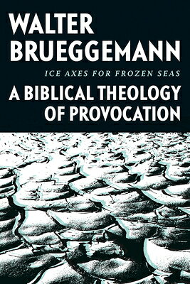 ICE AXES FOR FROZEN SEAS Walter Brueggemann Davis Hankins BAYLOR UNIV PR2014 Hardcover English ISBN：9781481302180 洋書 Soc...