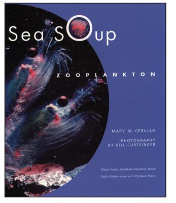SEA SOUP Mary M. Cerullo Bill Curtsinger TILBURY HOUSE PUBL2001 Hardcover English ISBN：9780884482192 洋書 Books for kids（児...