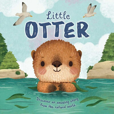 NATURE STORIES LITTLE OTTERーDI Nature Stories Igloobooks Rose Harkness Gisela Bohrquez IGLOOBOOKS2025 Board　Books Englis...