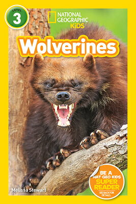 WOLVERINES (NATIONAL GEOGRAPHI National Geographic Kids Readers Melissa Stewart NATL GEOGRAPHIC SOC2018 Paperback Englis...