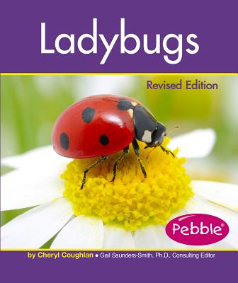 LADYBUGS REV/E Insects Cheryl Coughlan CAPSTONE PR2016 Paperback Revised English ISBN：9781515742272 洋書 Books for kids（児童...