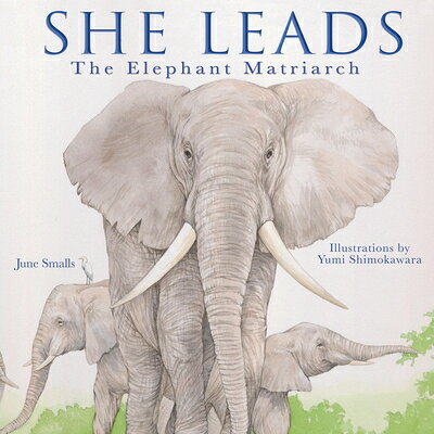 SHE LEADS June Smalls Yumi Shimokawara FAMILIUS LLC2020 Hardcover English ISBN：9781641702324 洋書 Books for kids（児童書） Juve...