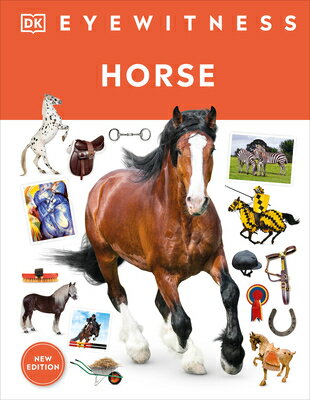EYEWITNESS HORSE DK Eyewitness DK DK PUB2024 Hardcover English ISBN：9780593842416 洋書 Books for kids（児童書） Juvenile Nonfic...