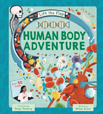 LIFTーTHEーFLAP HUMAN BODY ADV Igloobooks Willow Green Diego Vaisberg IGLOOBOOKS2025 Board　Books English ISBN：978183795244...