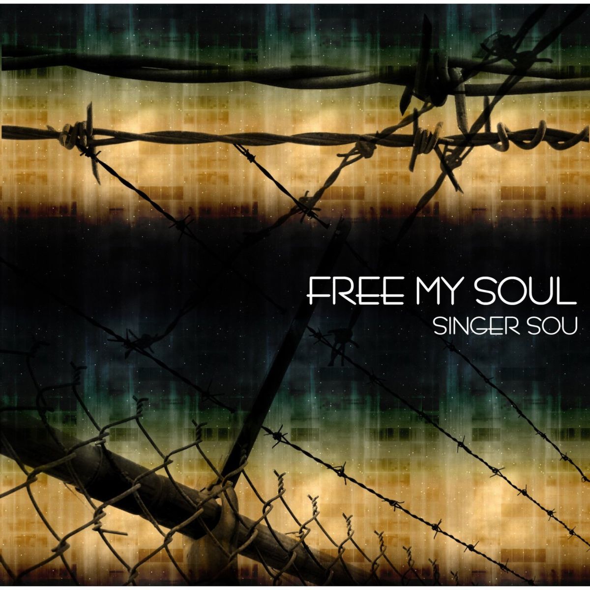 SINGER SOUフリー マイ ソウル 発売日：2014年03月12日 予約締切日：2014年03月08日 FREE MY SOUL JAN：4543364032448 DPDー2 (有)スティングミュージック ラッツパック・レコード(株...