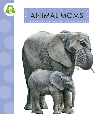 ANIMAL MOMS Spot Best Ever Animals Golriz Golkar AMICUS LEARNING2024 Hardcover English ISBN：9781645492511 洋書 Books for k...