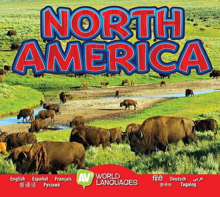 NORTH AMER World Languages Alexis Roumanis LIGHTBOX LEARNING2019 Library　Binding English ISBN：9781489672520 洋書 Books for...
