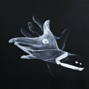 J.A.K.A.M.スピリット ベヨンド ボーダーズ ジェーアーケーアーエム 発売日：2022年07月14日 予約締切日：2022年07月10日 SPIRIT BEYOND BORDERS JAN：4948722562542 KOKOー11...