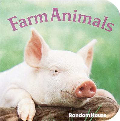 FARM ANIMALSーCHUNKY Chunky Book Phoebe Dunn RANDOM HOUSE1984 Board　Books English ISBN：9780394862545 洋書 Books for kids（児童...