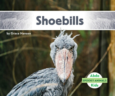 SHOEBILLS Spooky Animals Grace Hansen ABDO KIDS2020 Library　Binding English ISBN：9781098202545 洋書 Books for kids（児童書） Ju...