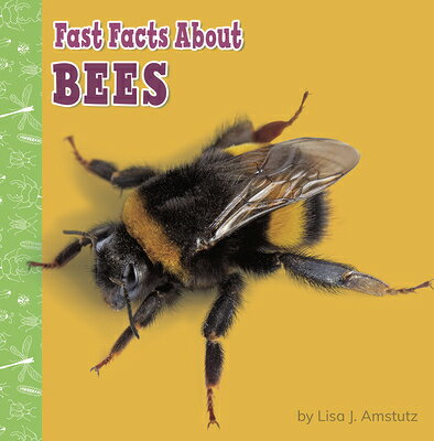 FAST FACTS ABT BEES Fast Facts about Bugs & Spiders Lisa J. Amstutz PEBBLE BOOKS2021 Paperback English ISBN：978197713264...
