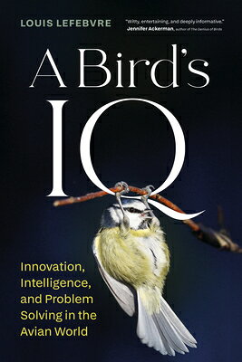 BIRDS IQ Louis Lefebvre Pablo Strauss GREYSTONE BOOKS2026 Hardcover English ISBN：9781778402647 洋書 Computers & Science（コン...