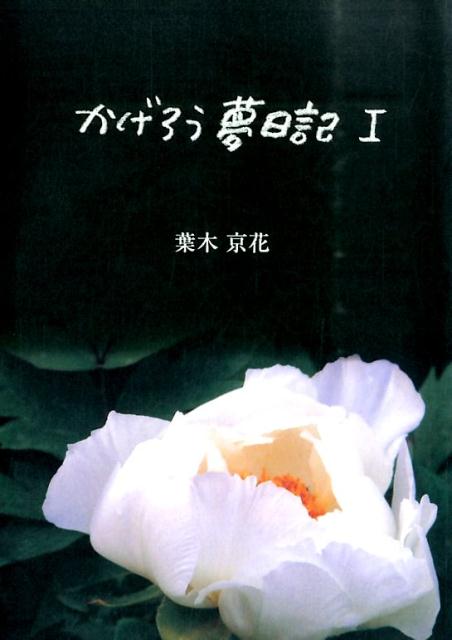 葉木京花 三恵社 JRCカゲロウ ユメニッキ ハギ,キヨカ 発行年月：2014年09月 ページ数：221p ISBN：9784864872683 本 人文・思想・社会 その他