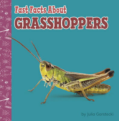 FAST FACTS ABT GRASSHOPPERS Fast Facts about Bugs & Spiders Julia GarsteckiーDerkovitz PEBBLE BOOKS2021 Paperback English...